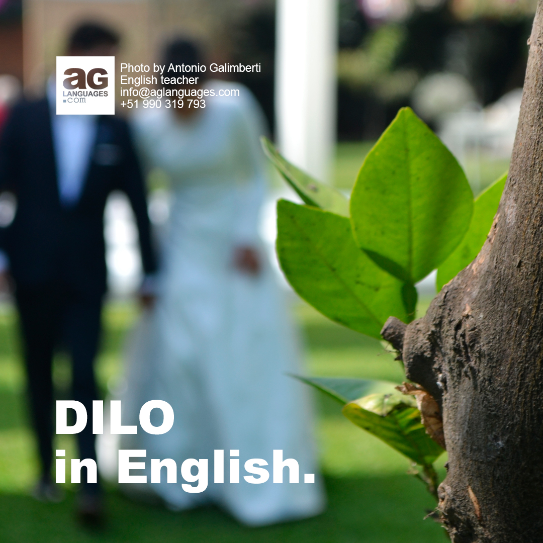 Courses – Escuela de idiomas online